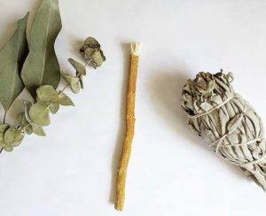 Miswak in Islam; Its Benefits, Uses and Recommendations